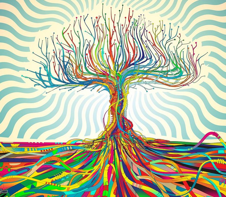 LOS CINCO ELEMENTOS (V): Vida - Espacio Ecológico El Pueblo Que Queremos